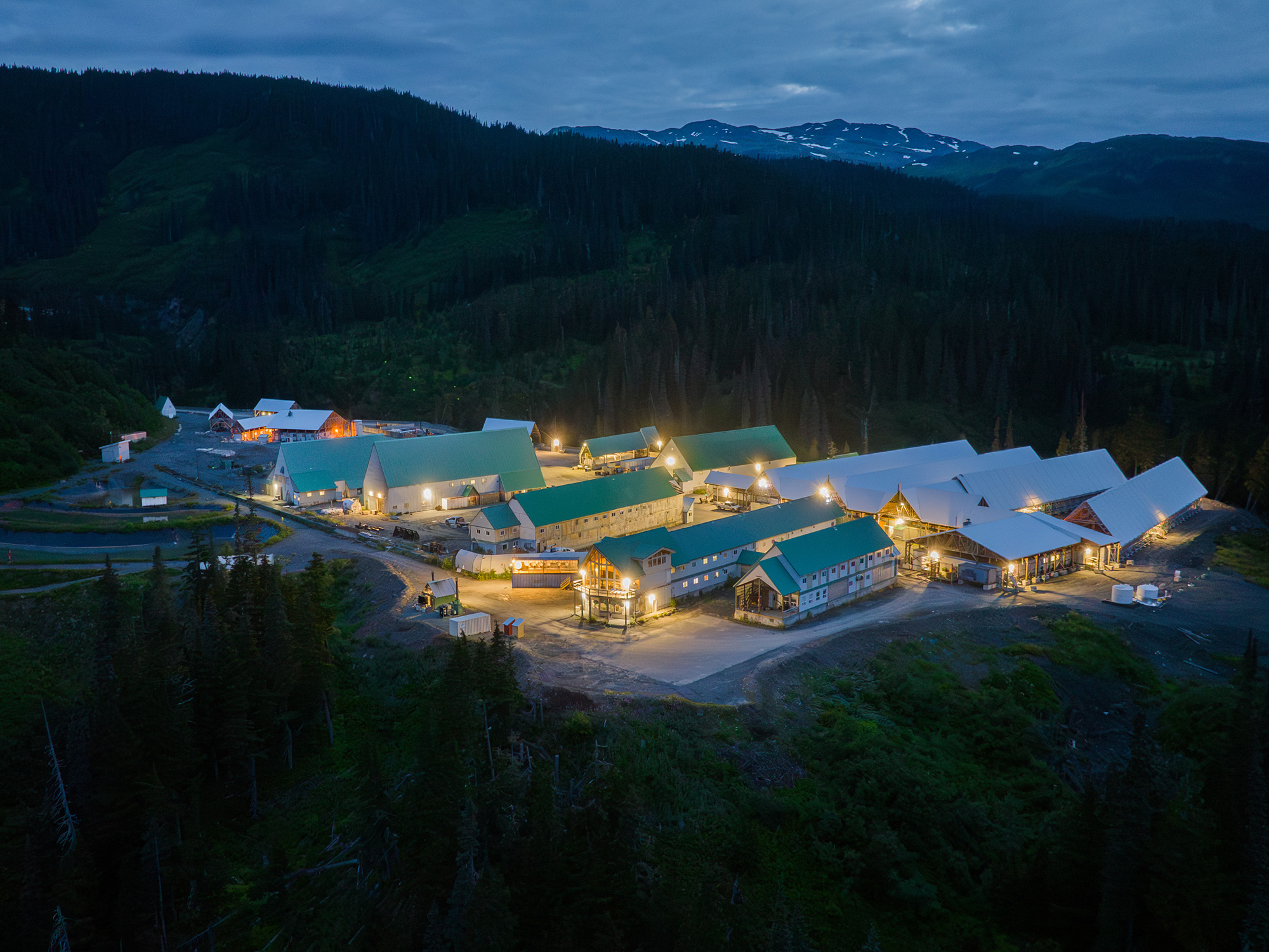 Company - Skeena Gold + Silver